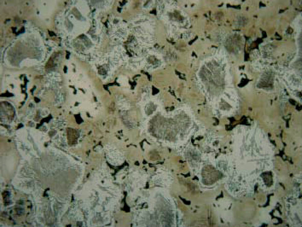 粉末治金部品の金属組織学 | Struers.com - beplay全站app下载